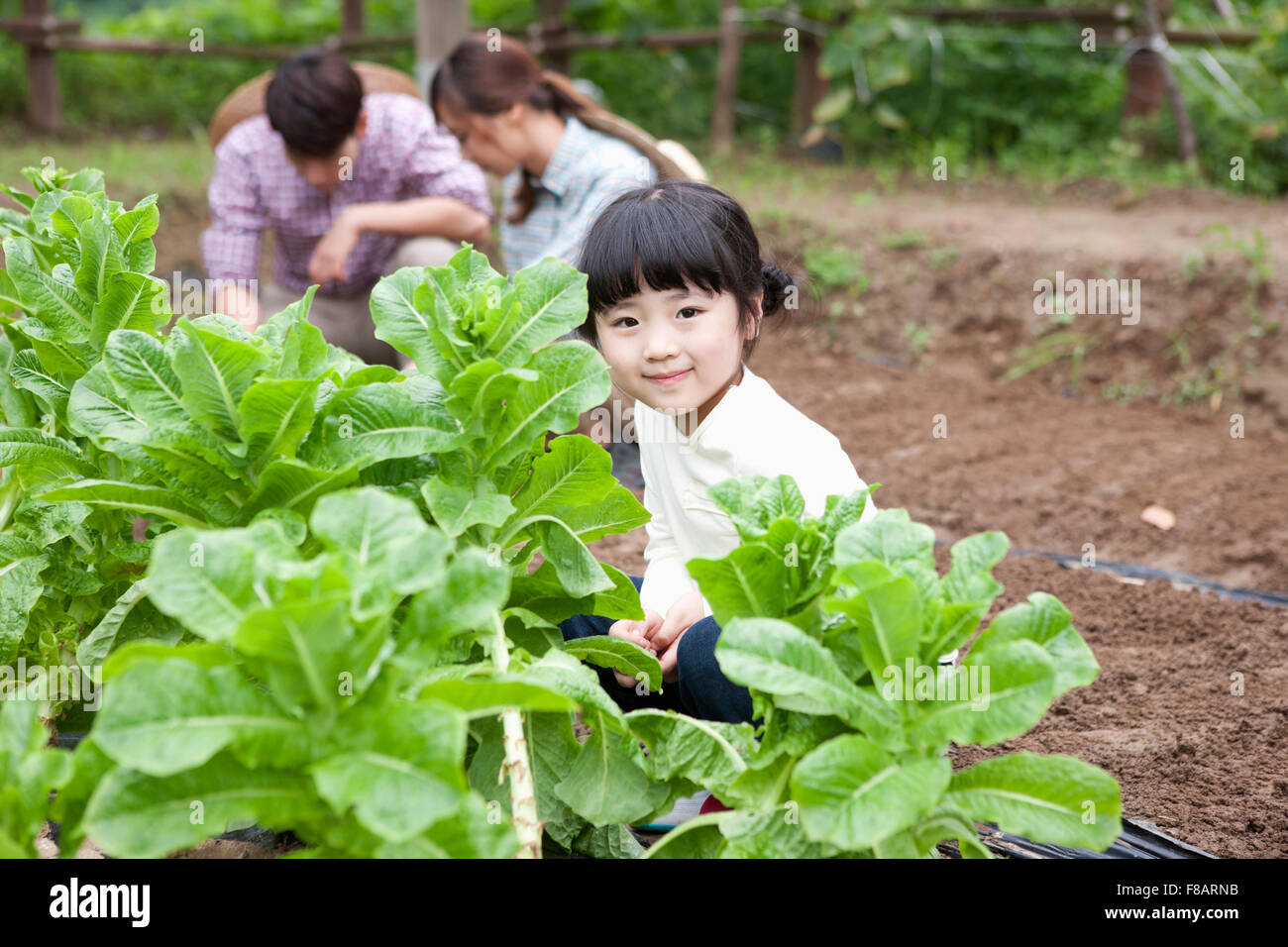 Portrait of girl with her parents in field of vegetables staring at ...