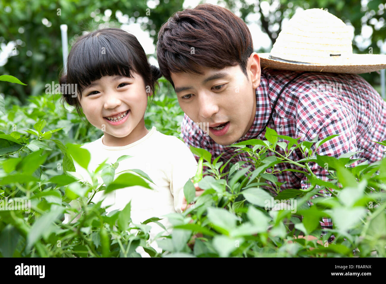 Portrait of father and girl staring at fraont with a smile in field of ...