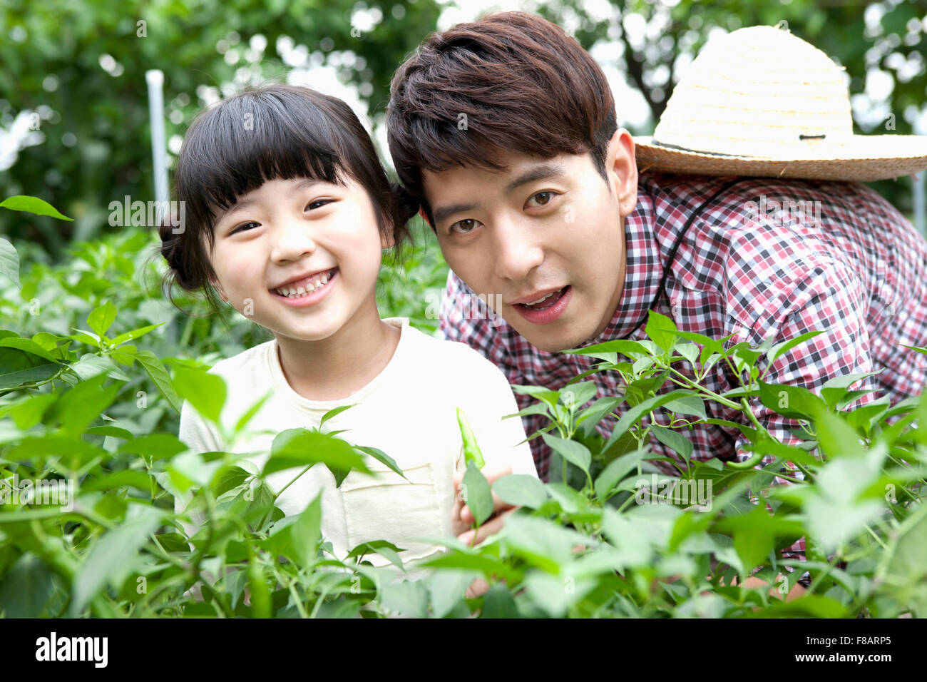 Portrait of smiling father and girl in field of pepper staring at front ...