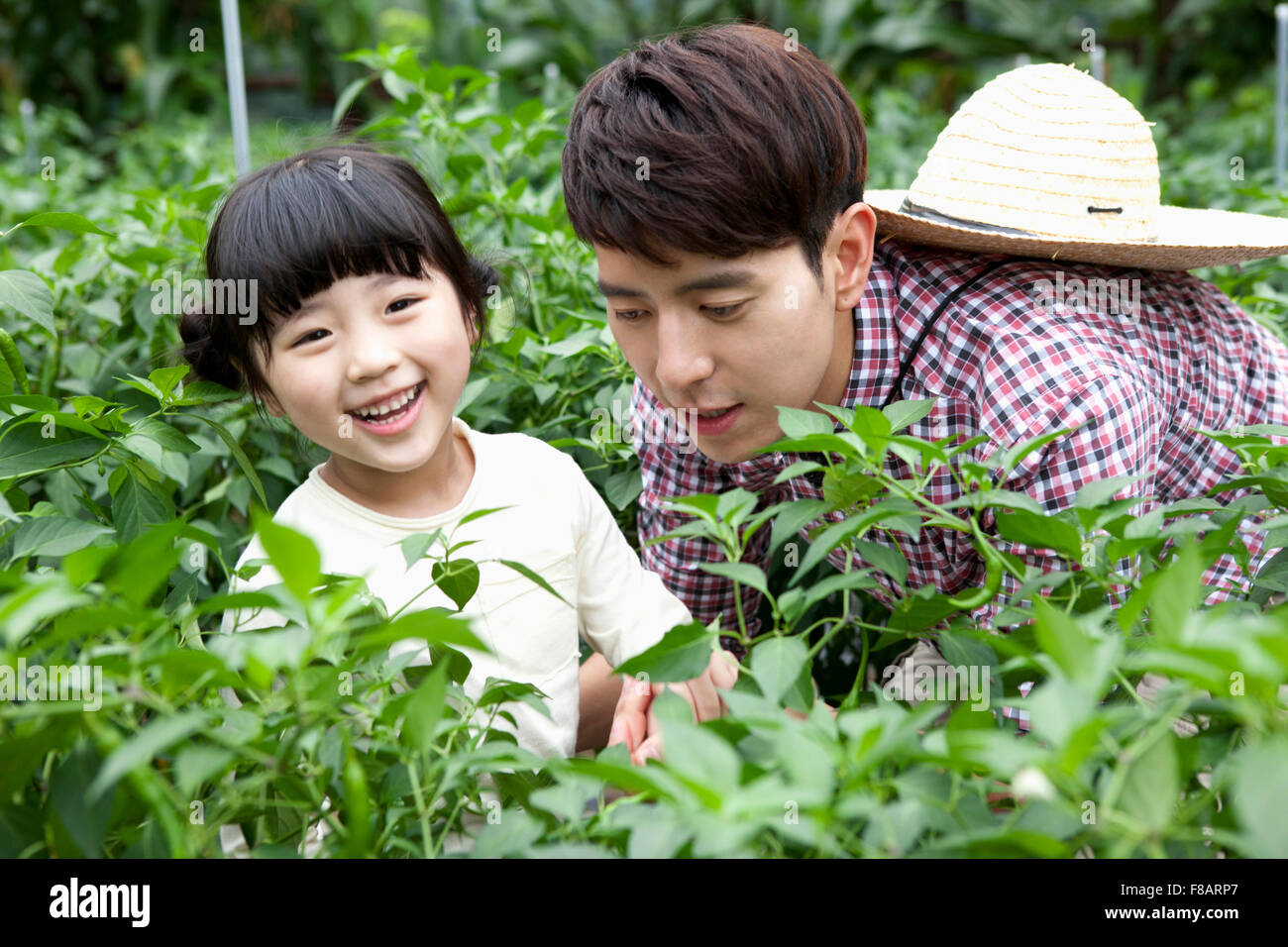 Portrait of father looking down and girl staring at front in field of ...