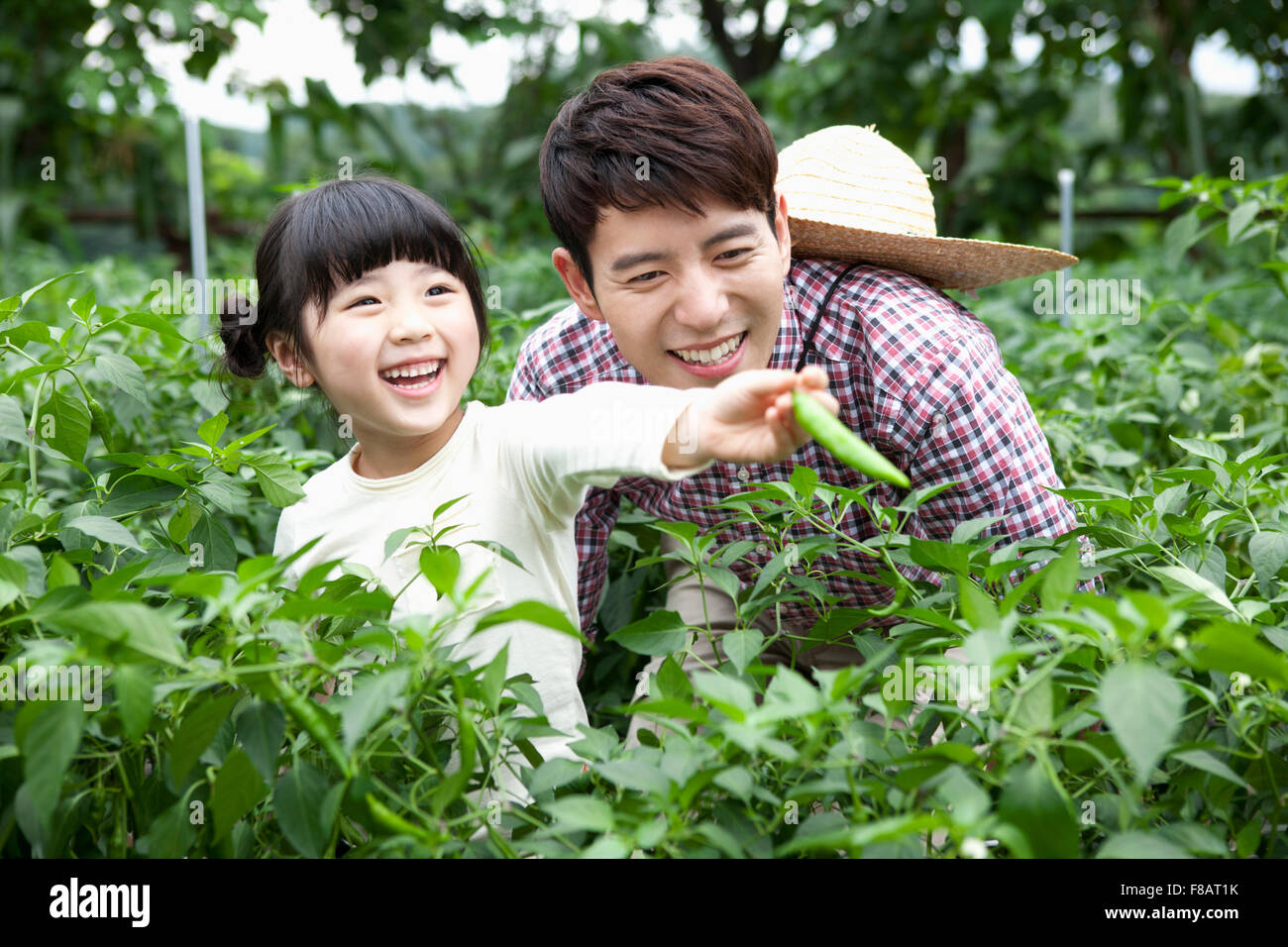Portrait of father and girl holding a pepper in field of pepper with ...