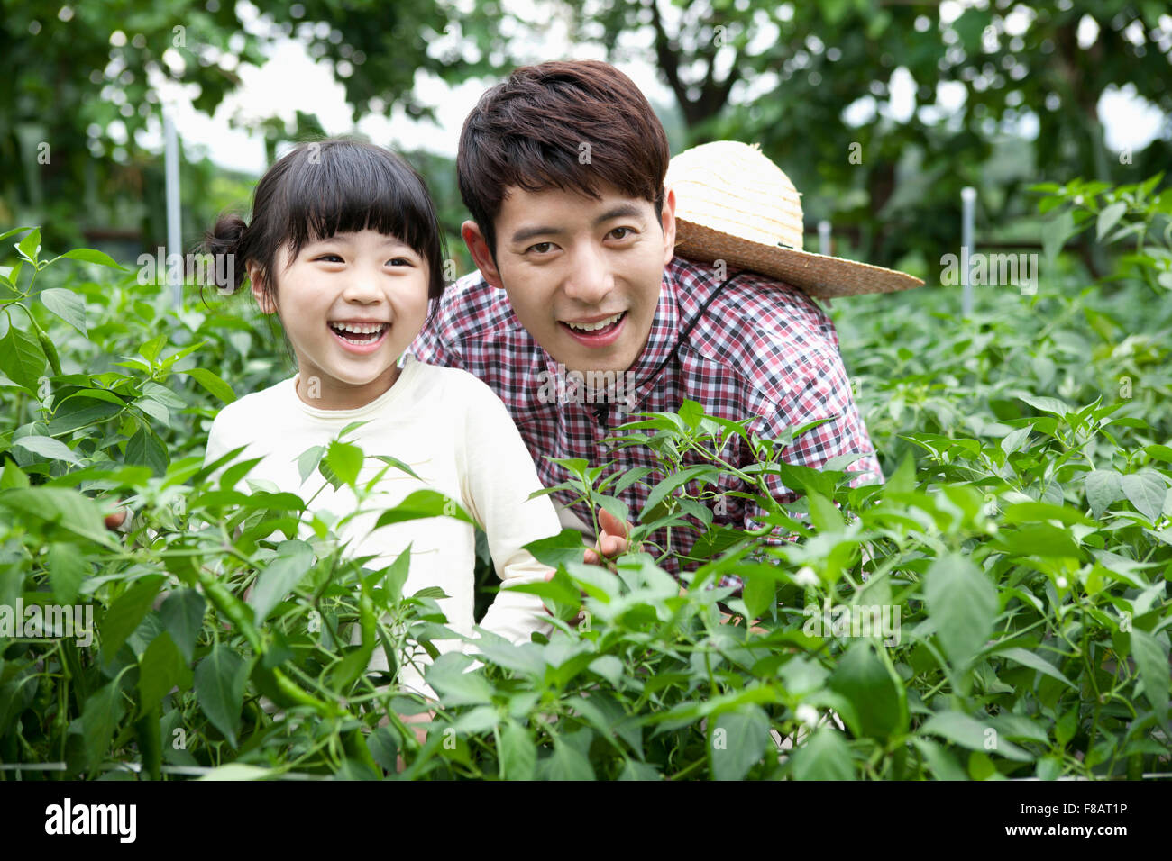 Portrait of smiling father and girl in field of pepper Stock Photo - Alamy