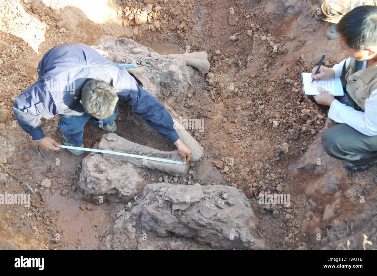 Kunming, China's Yunnan Province. 7th Dec, 2015. An archaeologist ...