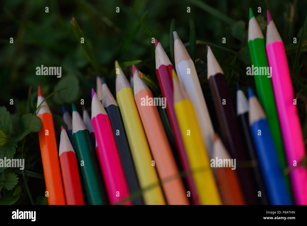 children education concept with colorful wooden pen isolated on white ...
