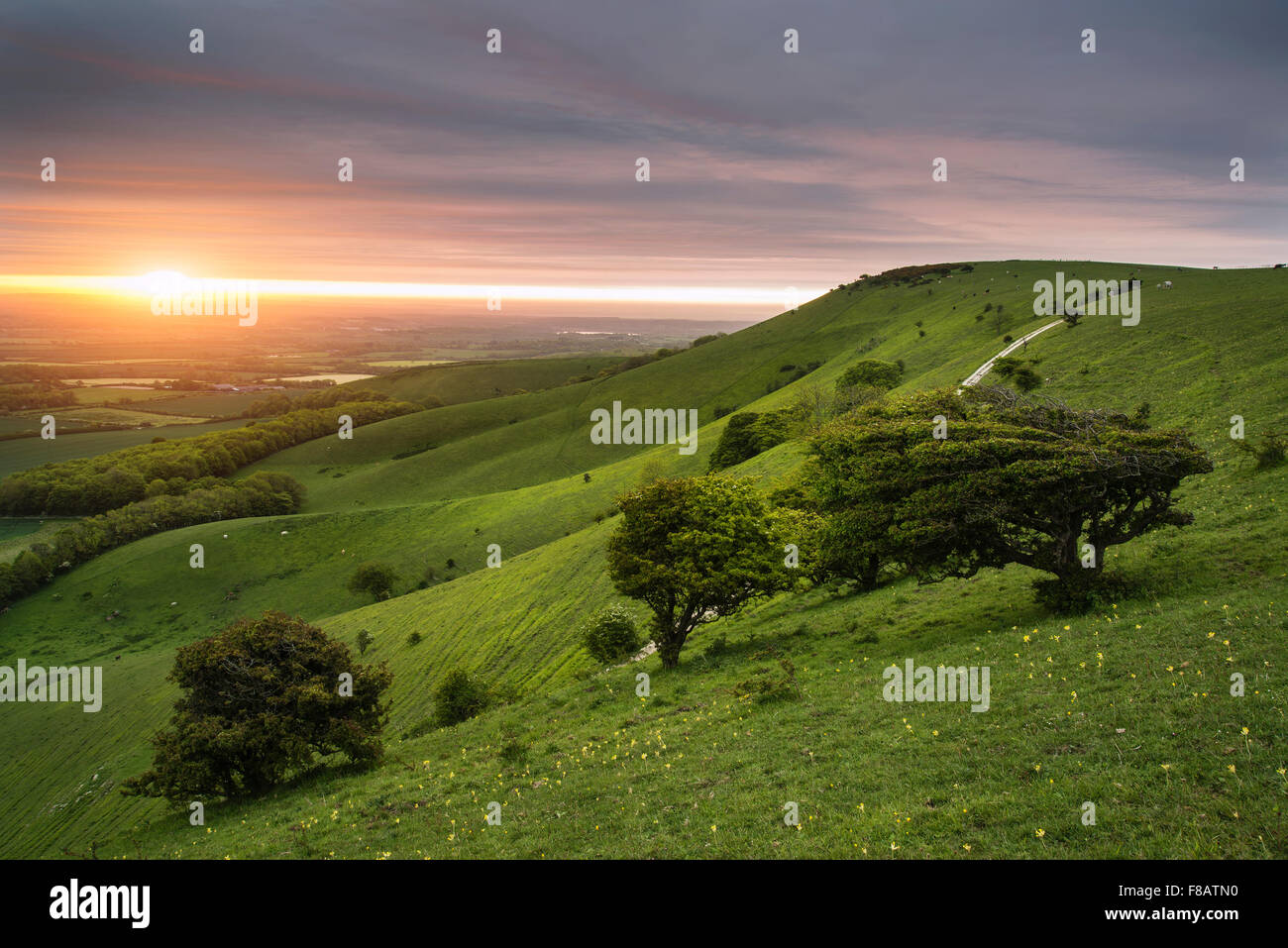 Sunrise over rolling English countryside landscape in Spring Stock ...