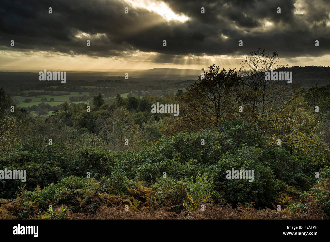 Stunning Autumn Fall sunset over forest landscape with moody dramatic ...