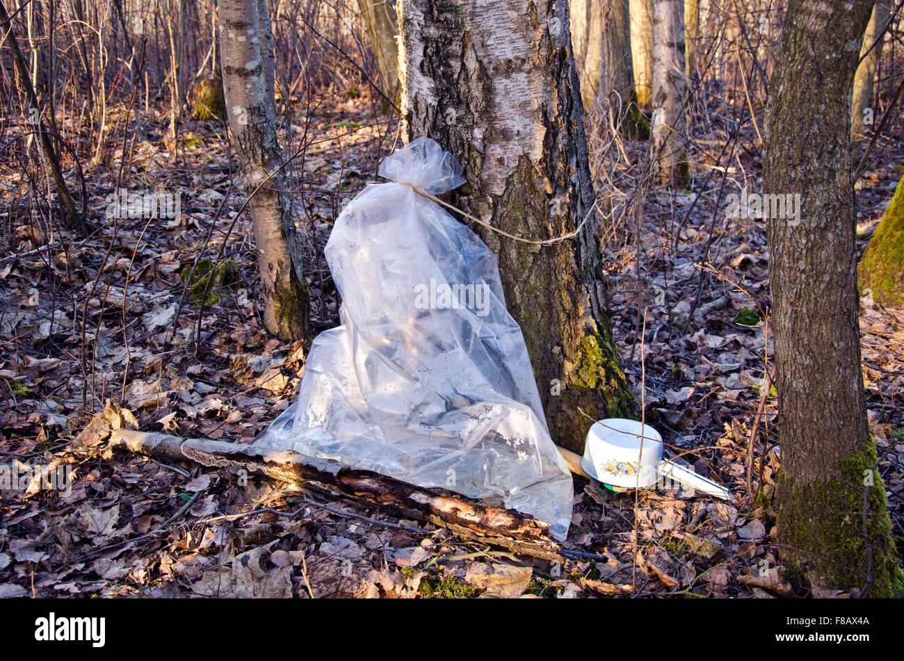 Sap collection hi-res stock photography and images - Alamy