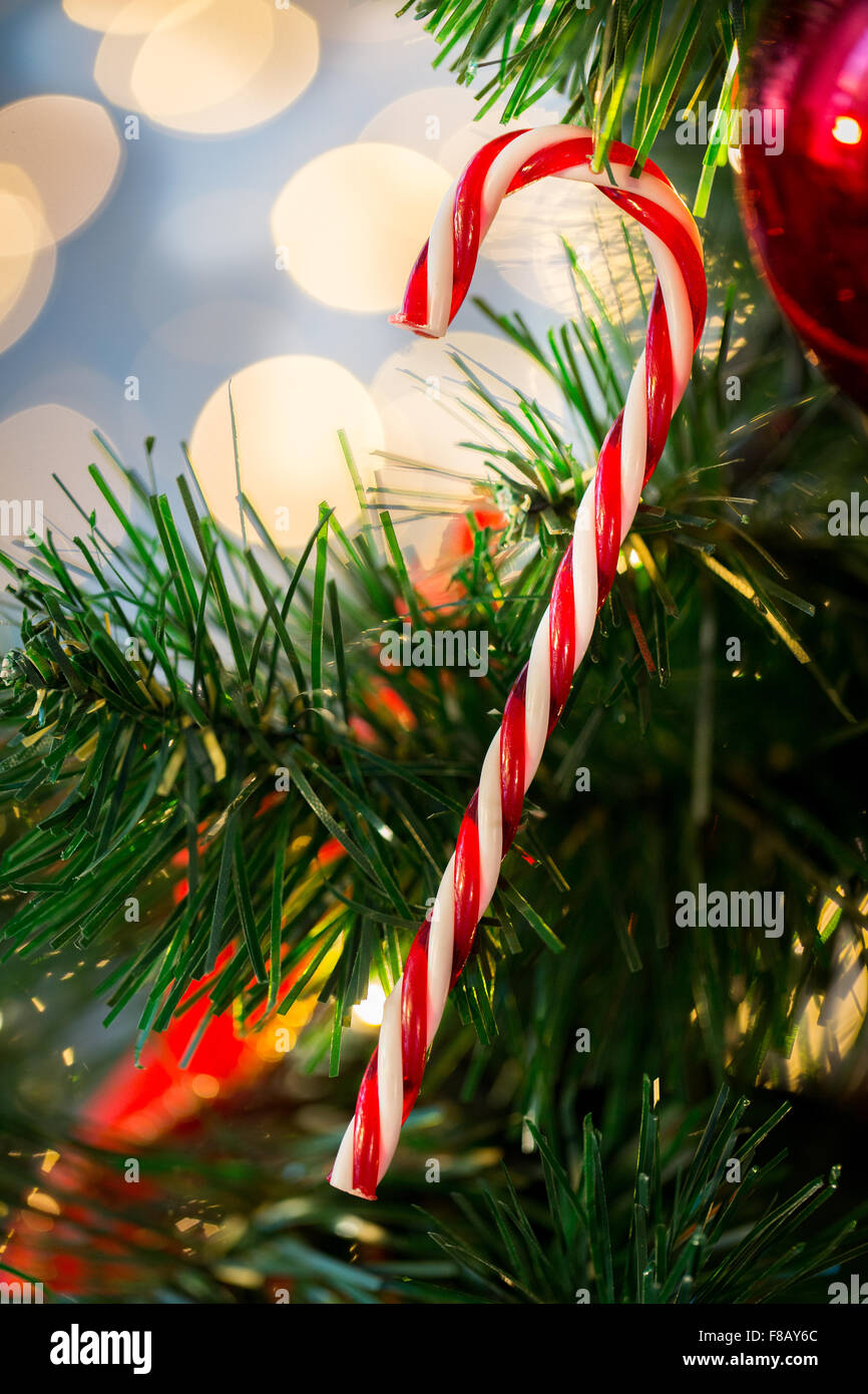 close up of sugar cane candy on christmas tree Stock Photo - Alamy