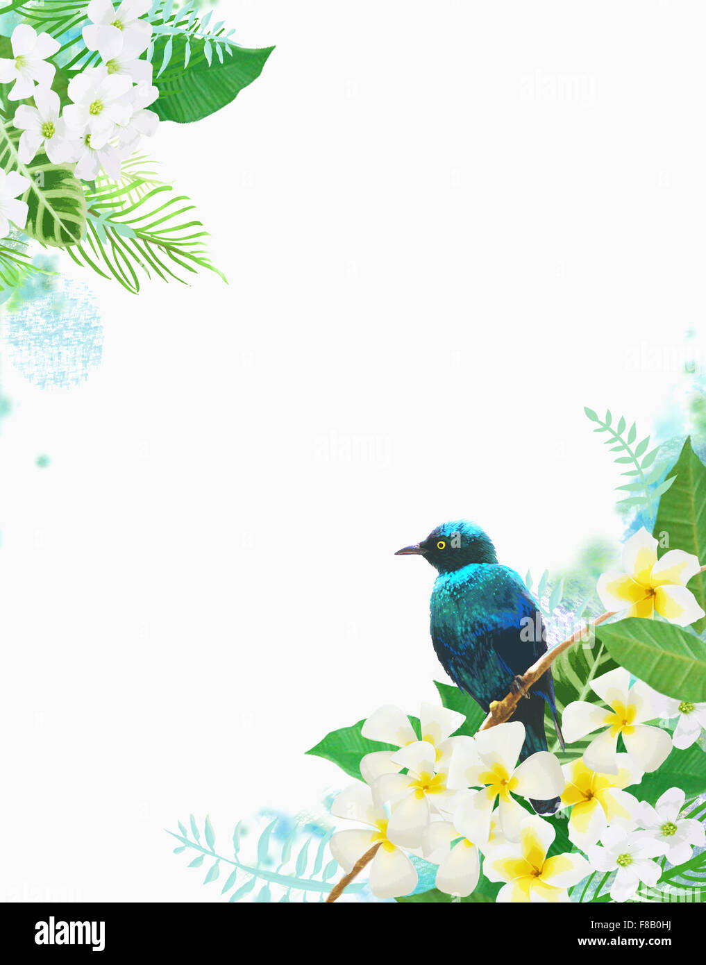 Frame with flowers and bird Stock Photo - Alamy