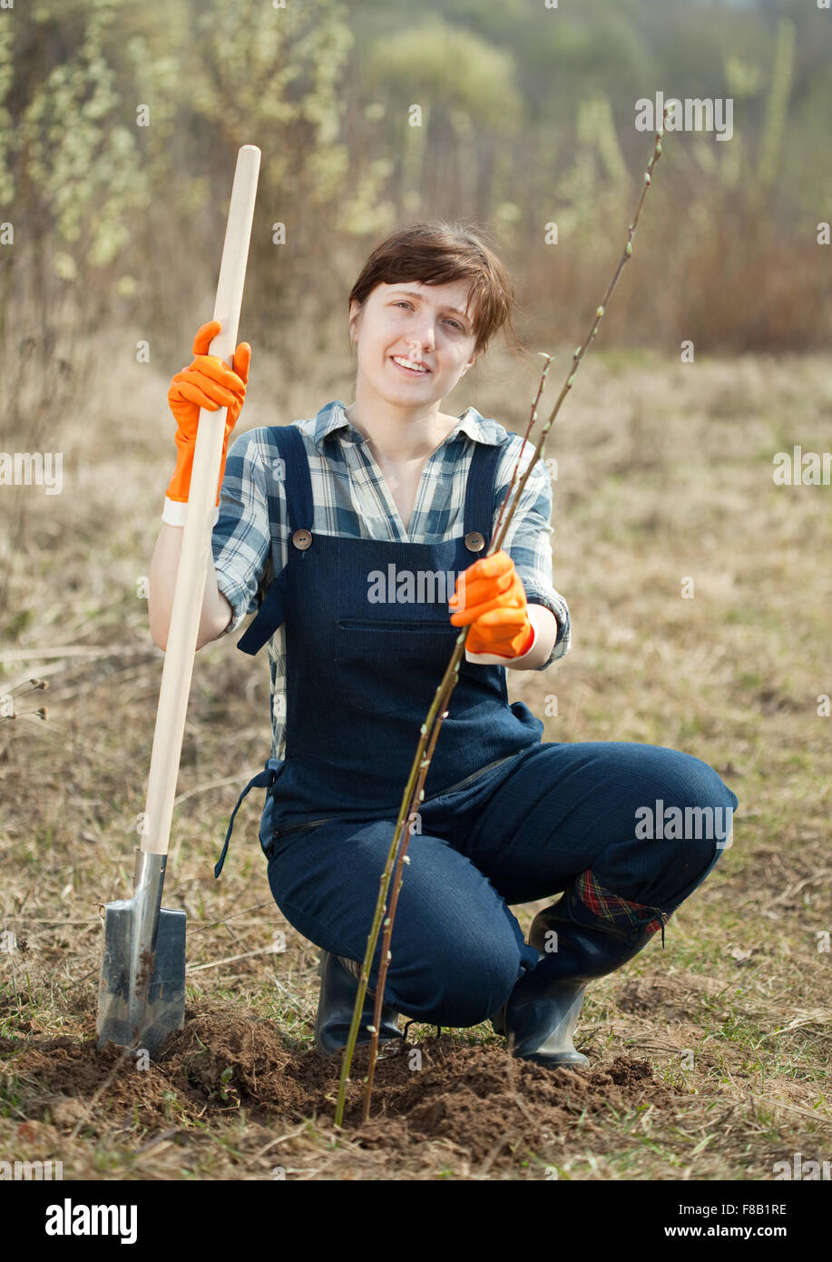 Female farmer planting sprouts shrubbery in ground Stock Photo - Alamy