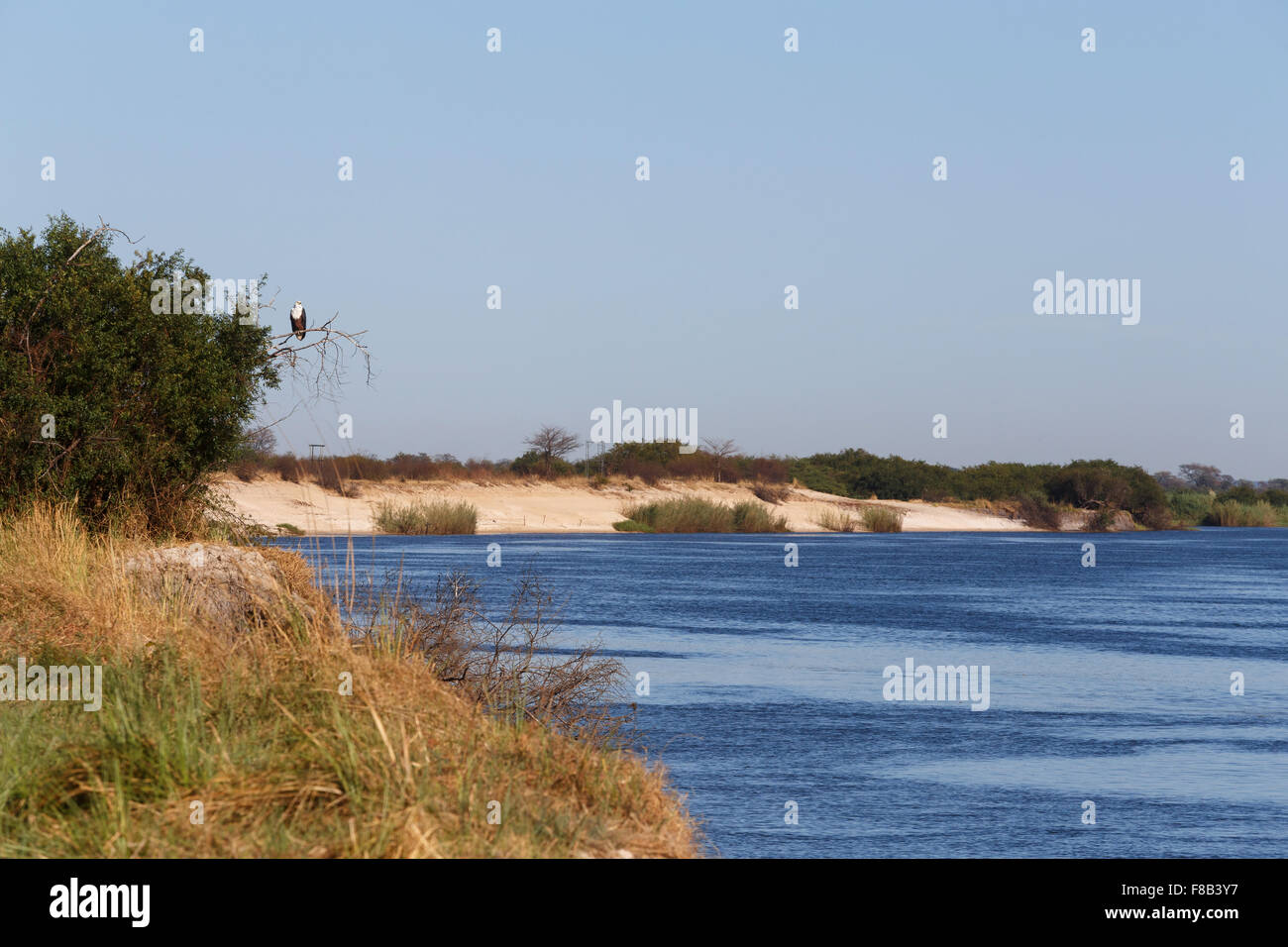 bank of the Zambezi river - fourth-longest river in Africa, Caprivi ...