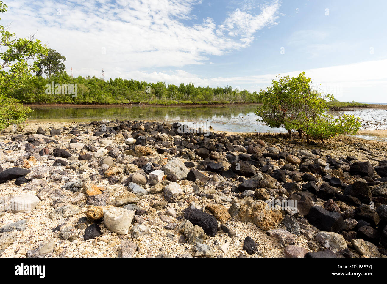 Traditional Indonesian landscape with mangrove and walkway, Sulawesi ...