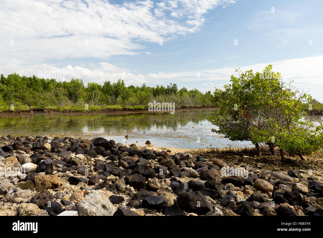 Traditional Indonesian landscape with mangrove and walkway, Sulawesi ...