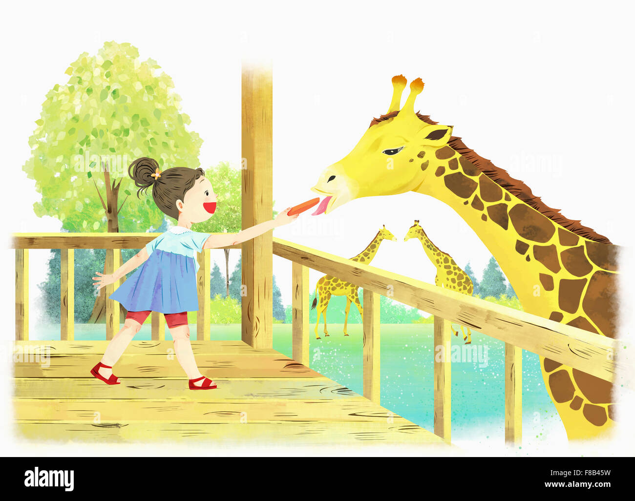 Girl feeding a giraffe at the zoo Stock Photo - Alamy