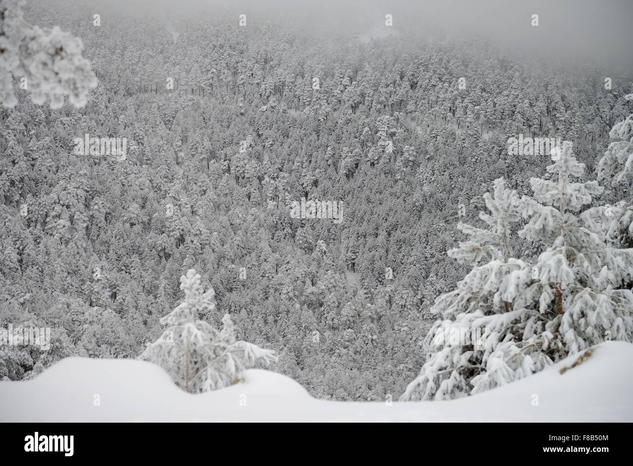 Snow in sc hi-res stock photography and images - Alamy