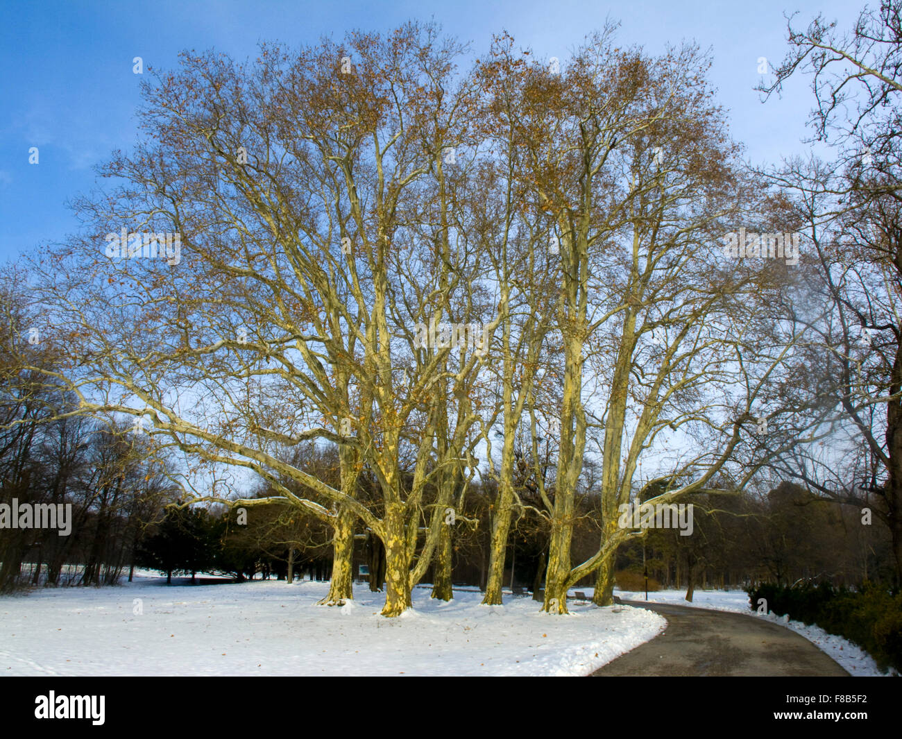 Schlosspark laxenburg hi-res stock photography and images - Alamy