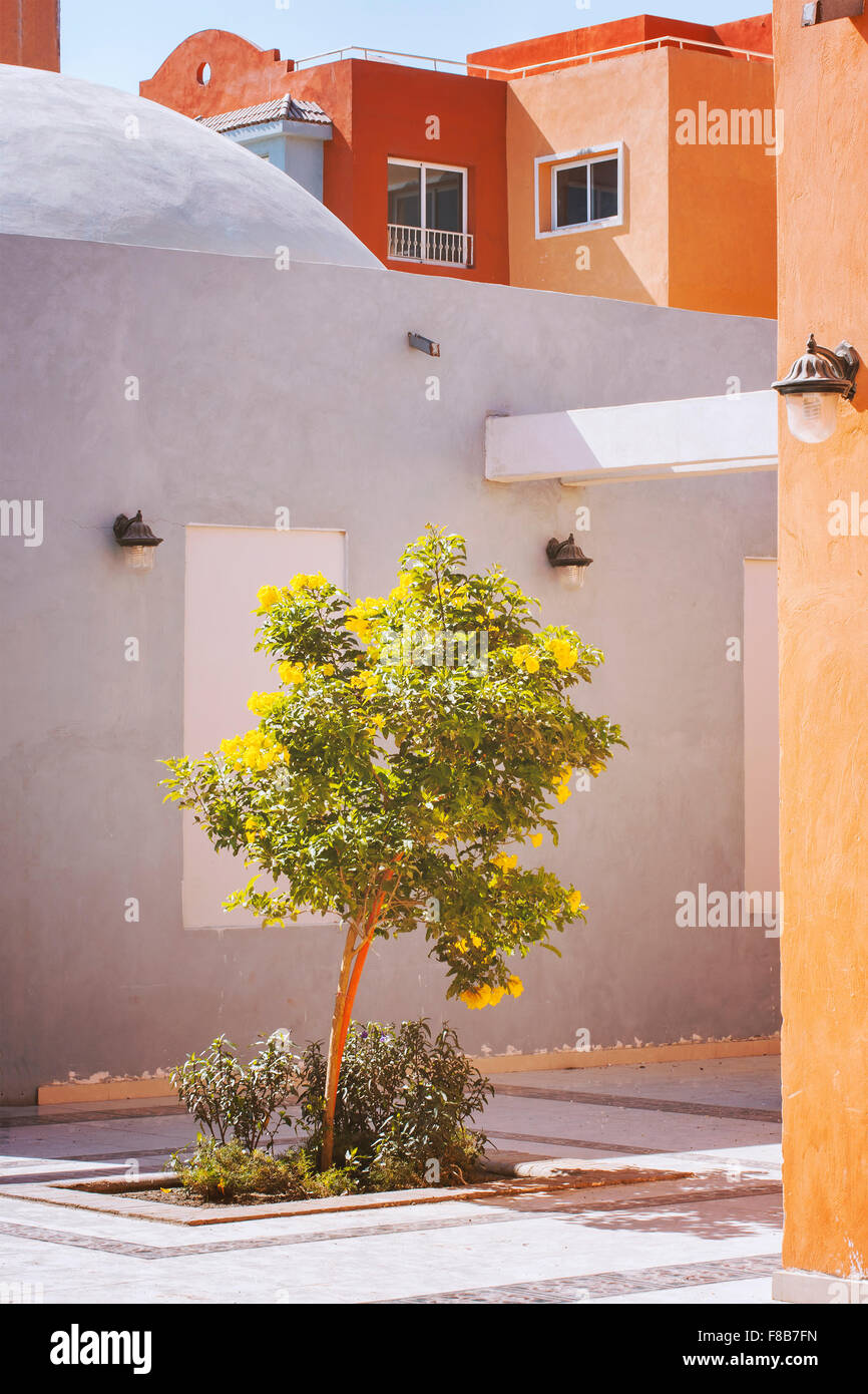 Courtyard egypt hi-res stock photography and images - Alamy