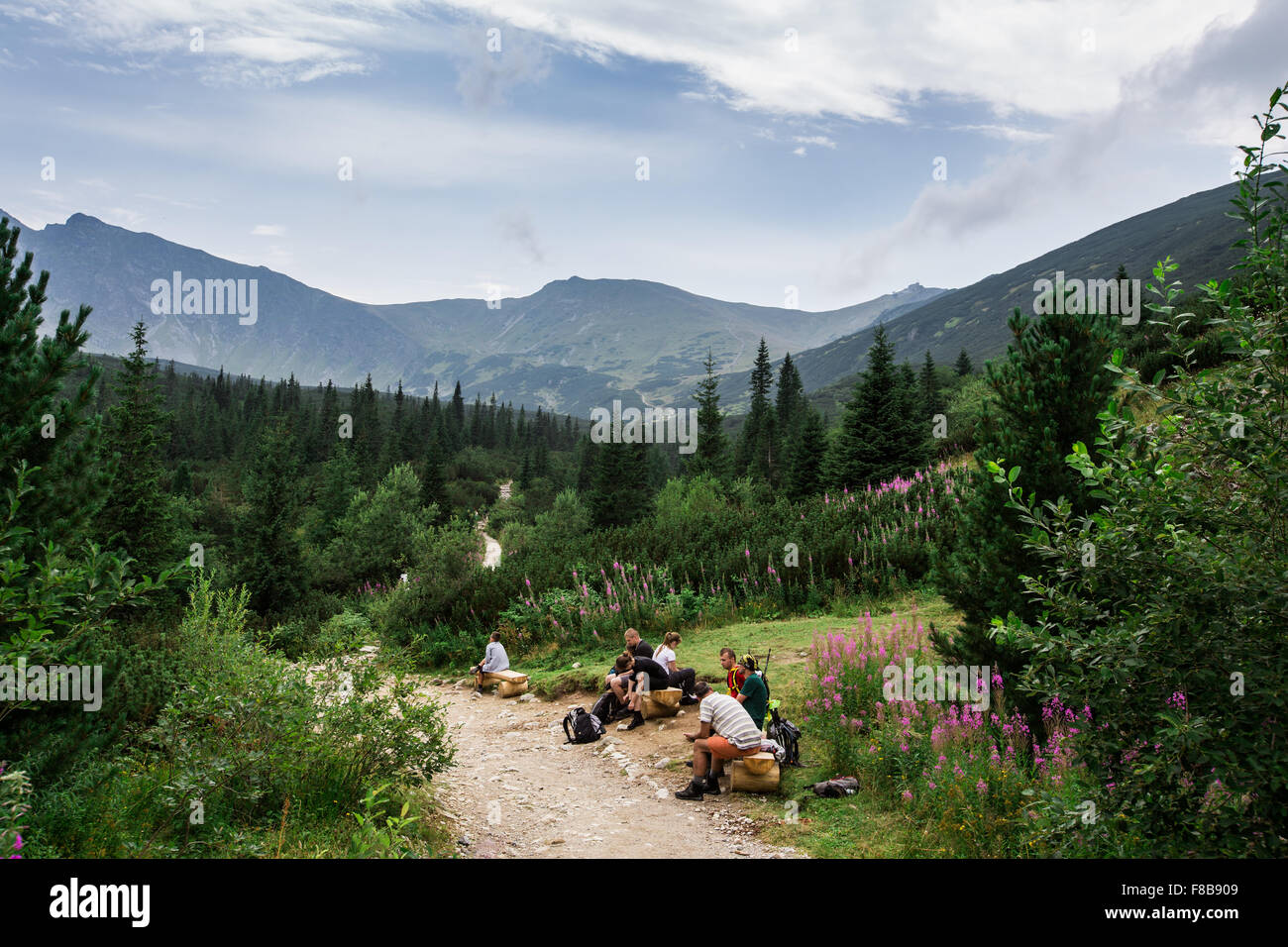 North of the tatra hi-res stock photography and images - Alamy