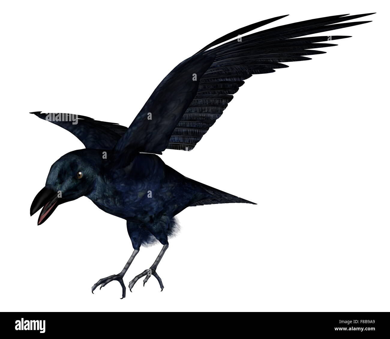 Black crow isolated in white background - 3D render Stock Photo - Alamy