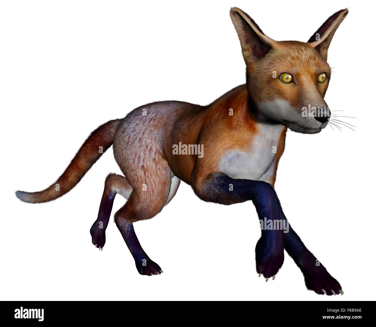 Running red fox fox Cut Out Stock Images & Pictures - Alamy