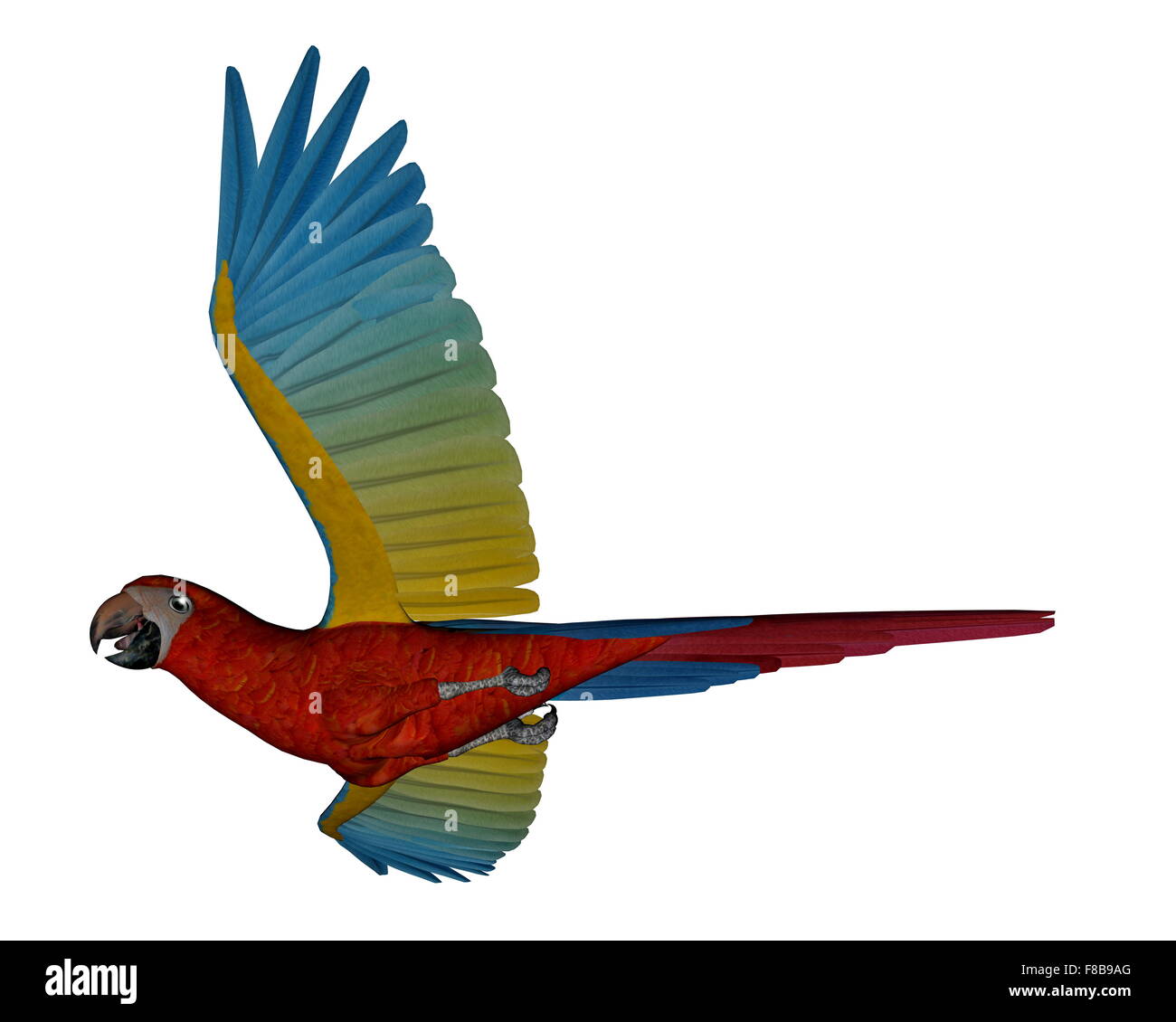 Scarlet macaw, parrot, flying isolated in white background - 3D render ...