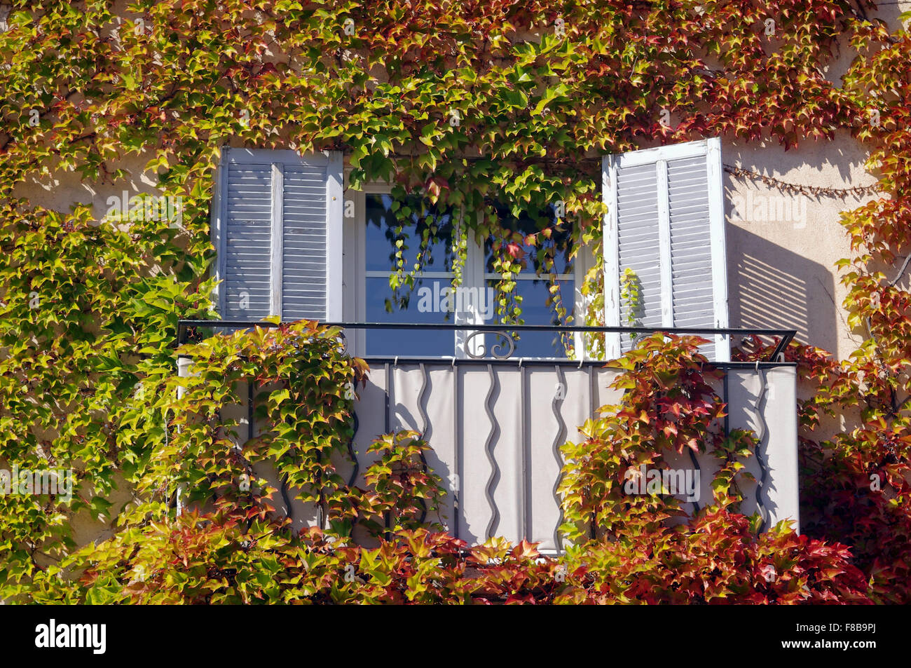 window in autumn surrounded by vegetation, leaves Stock Photo - Alamy
