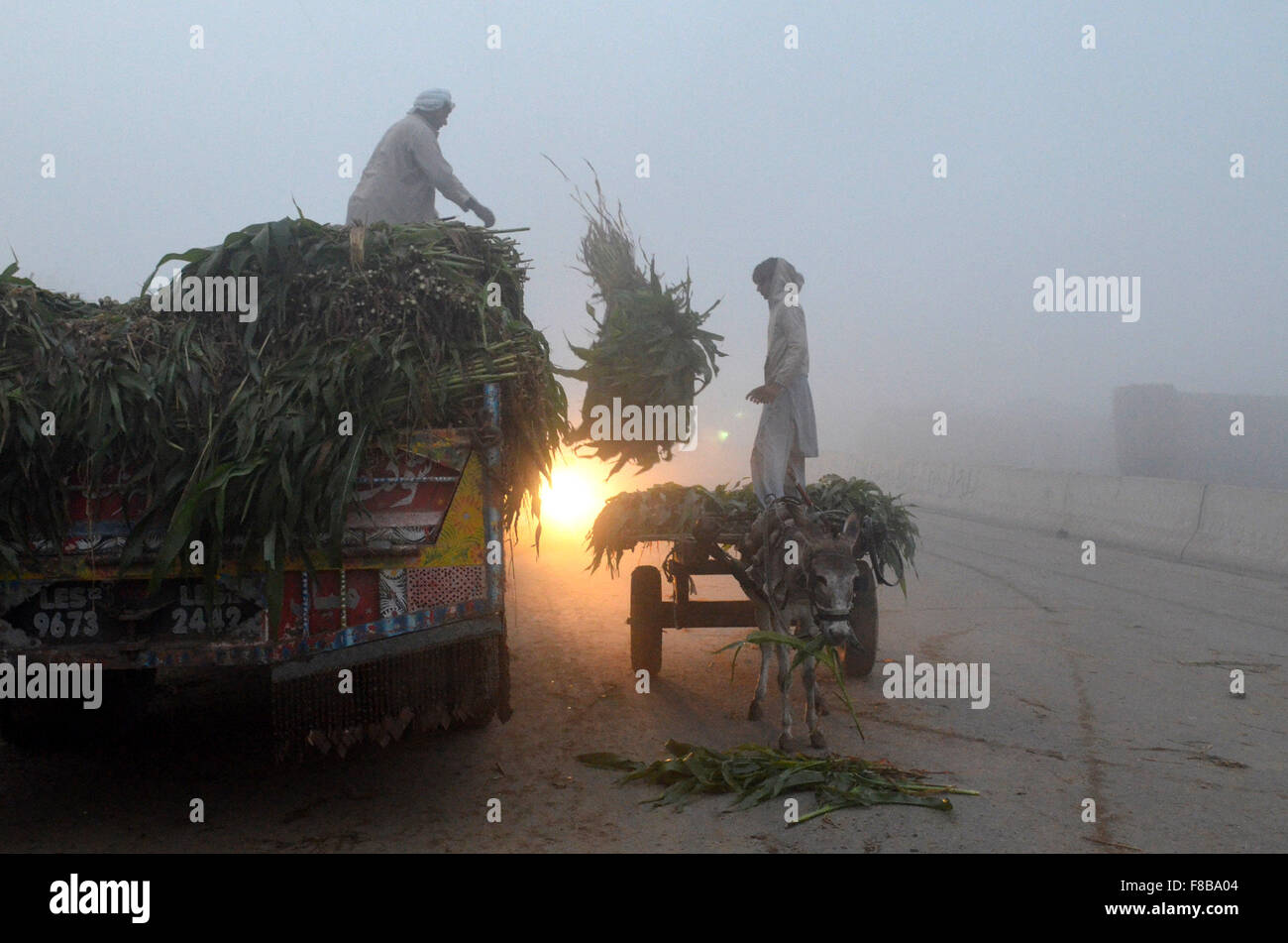 Lahore. 8th Dec, 2015. Pakistani laborers work in heavy fog in eastern ...