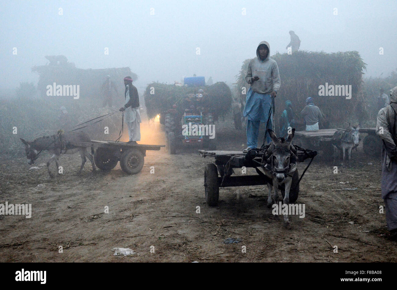 Donkey carts hi-res stock photography and images - Alamy