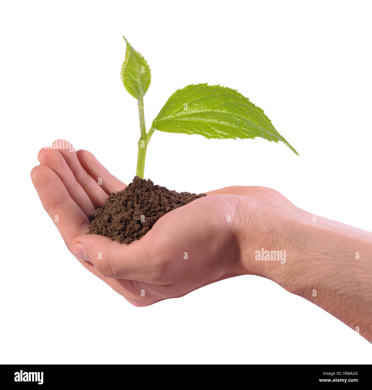 Hand soil leaf plant hi-res stock photography and images - Alamy