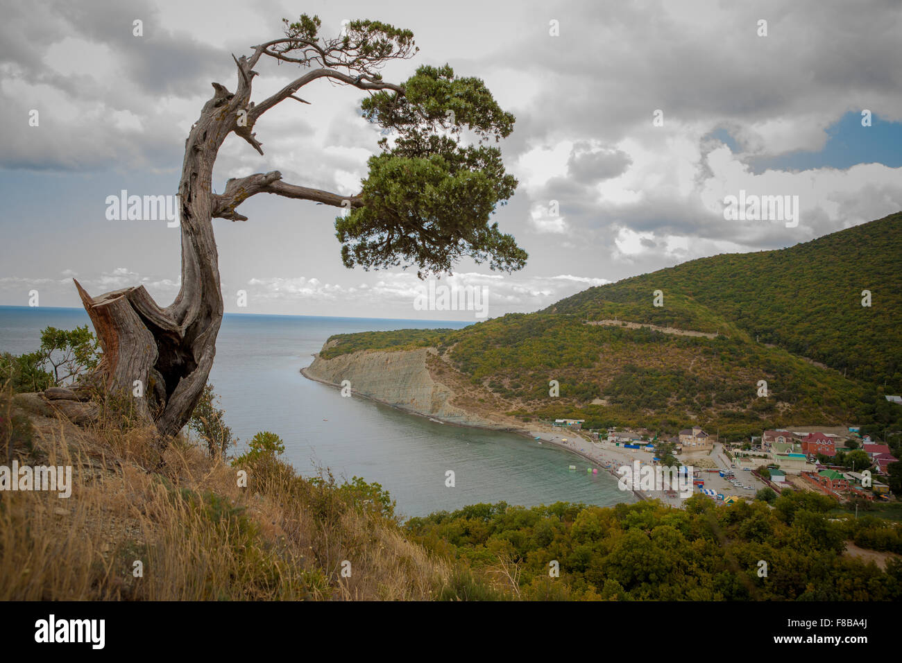 southern coast of the Caucasus Stock Photo - Alamy