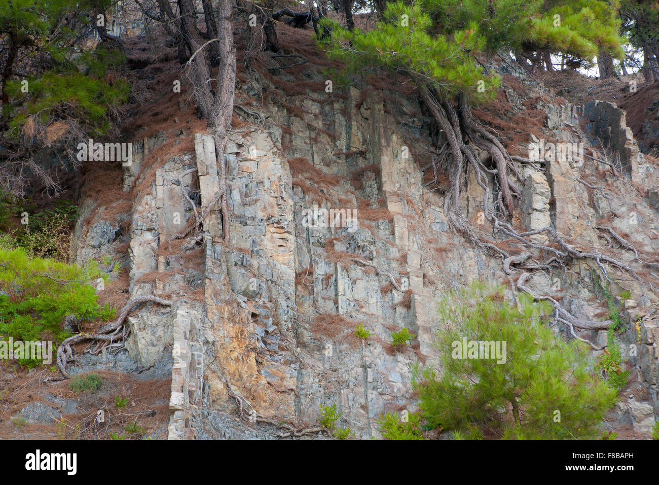 southern coast of the Caucasus Stock Photo - Alamy