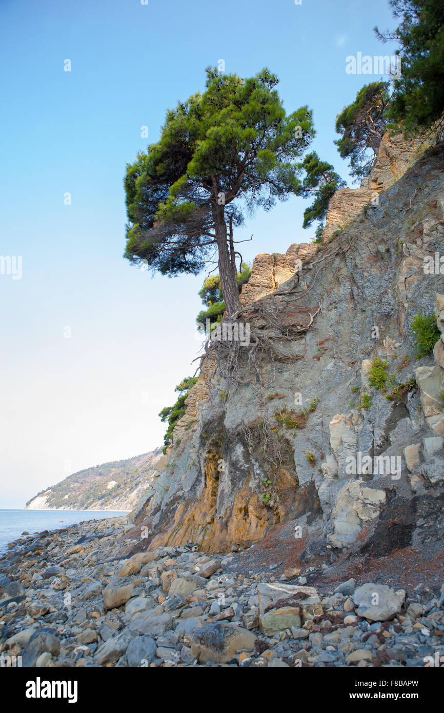 southern coast of the Caucasus Stock Photo - Alamy