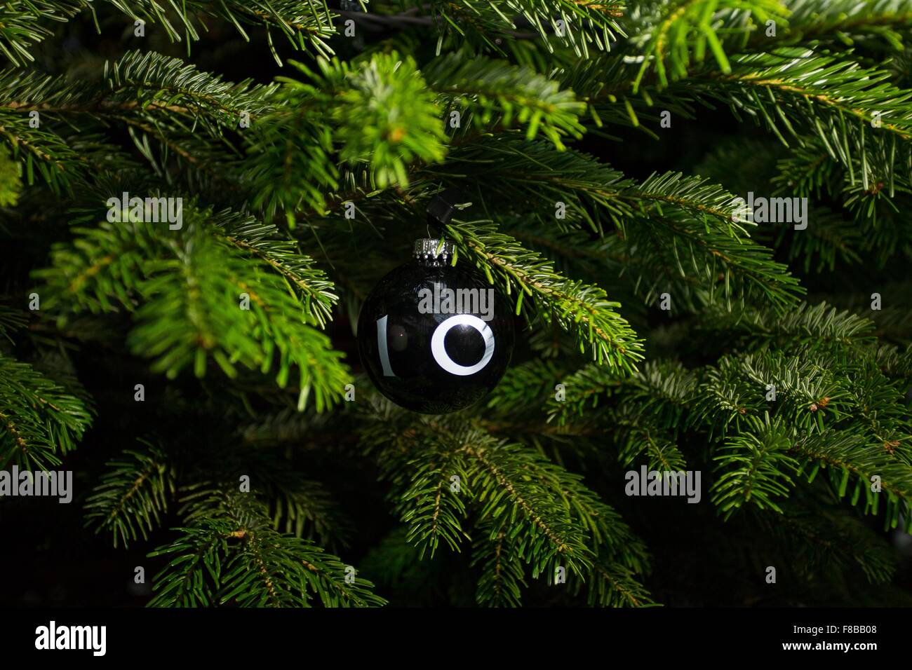 The special Number 10 bauble hanging on the Christmas tree outside ...