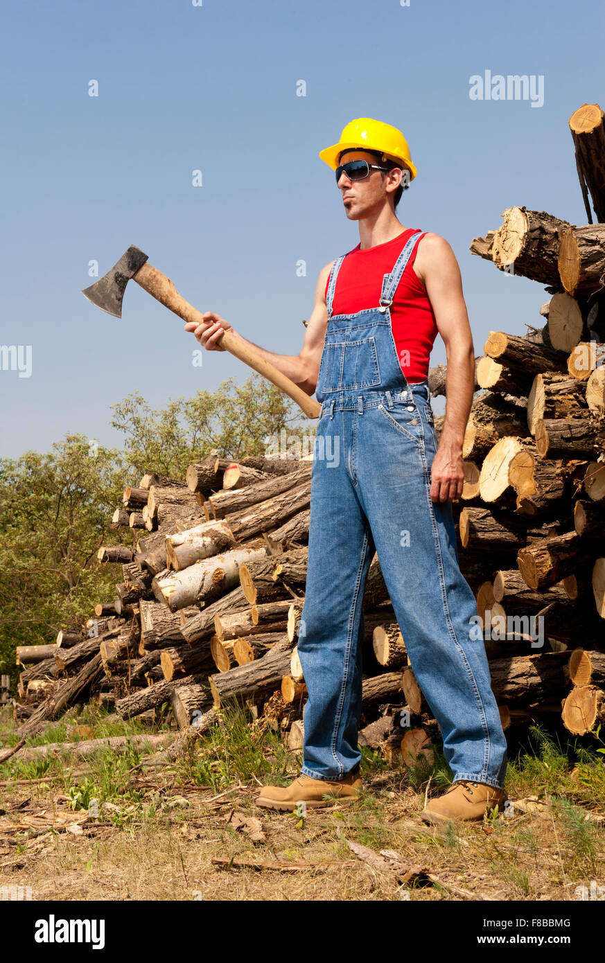 woodcutter cuts the tree in the forest Stock Photo - Alamy