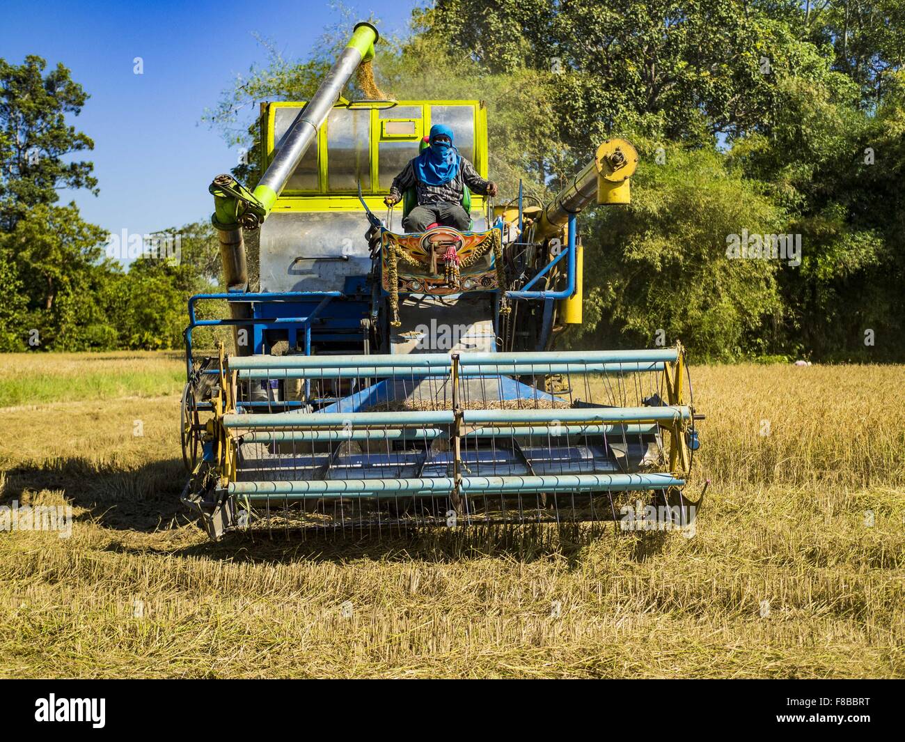 Rice paddy harvested harvesting machine hi-res stock photography and ...
