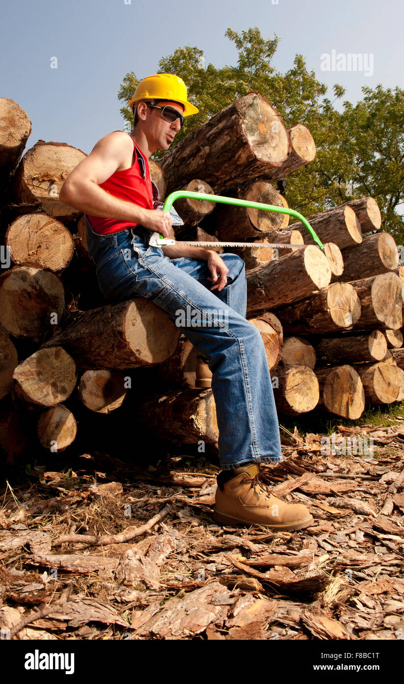 woodcutter cuts the tree in the forest Stock Photo - Alamy