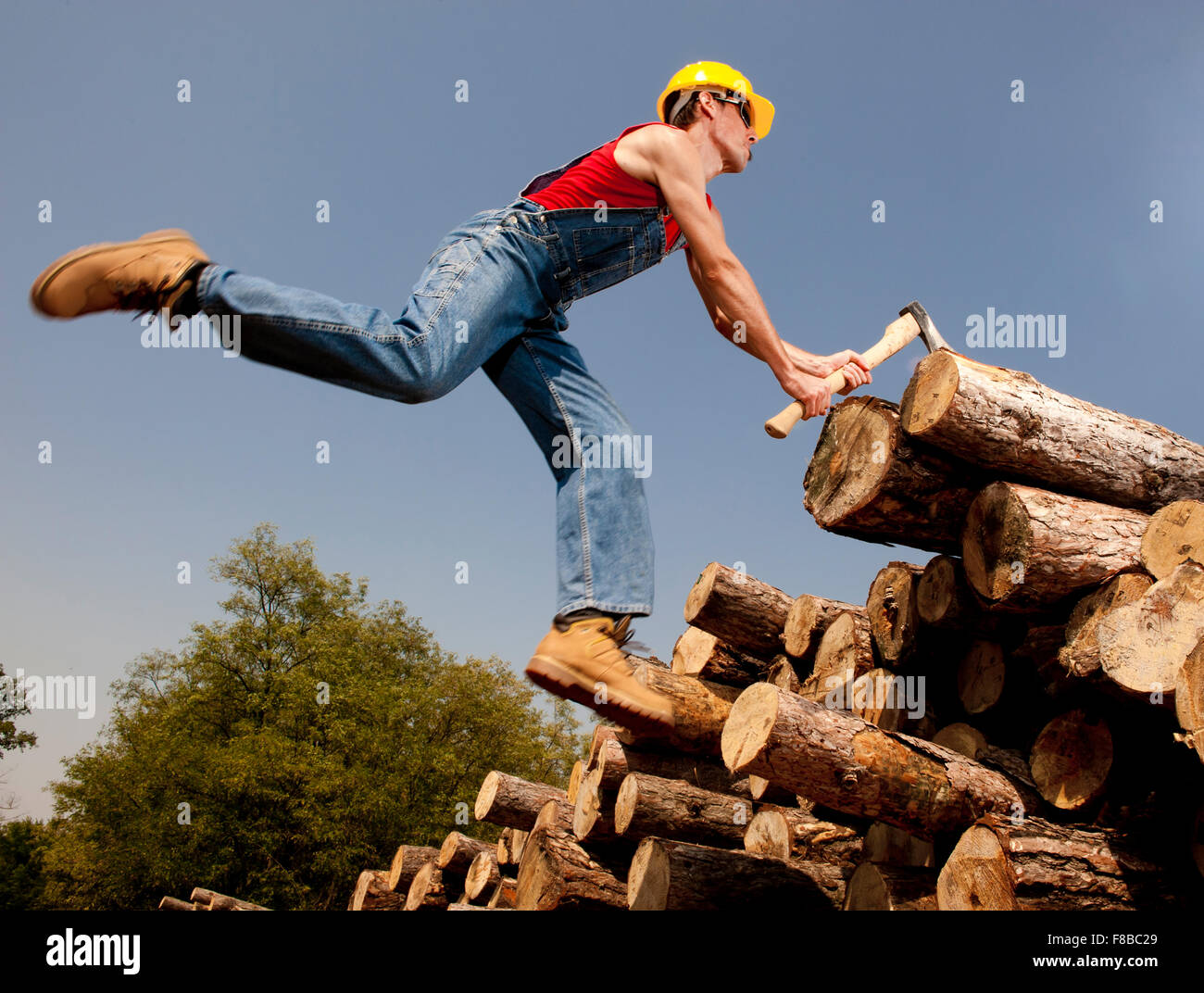 woodcutter cuts the tree in the forest Stock Photo - Alamy