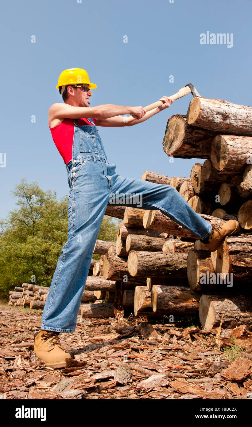woodcutter cuts the tree in the forest Stock Photo - Alamy