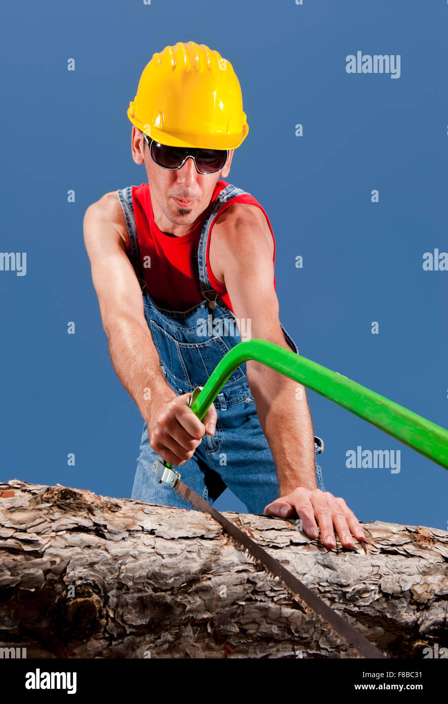 woodcutter cuts the tree in the forest Stock Photo - Alamy