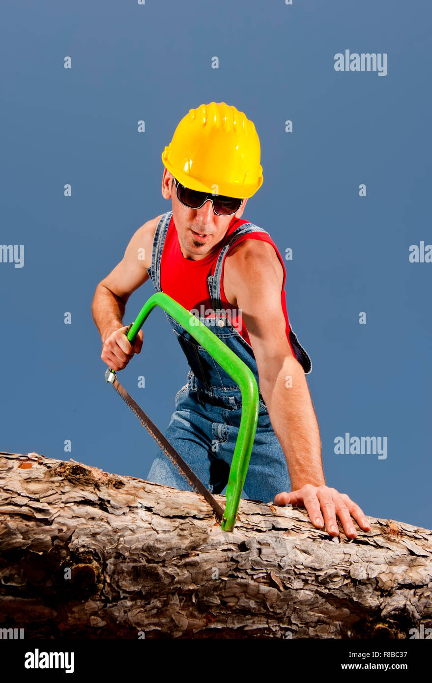 woodcutter cuts the tree in the forest Stock Photo - Alamy