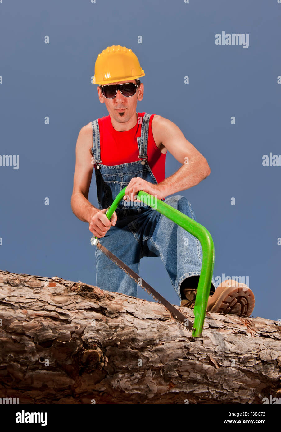 woodcutter cuts the tree in the forest Stock Photo - Alamy