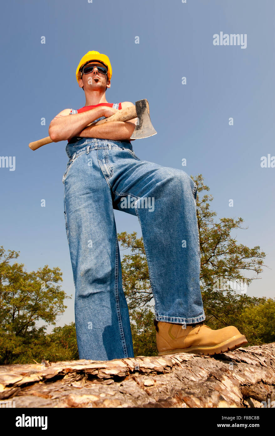 woodcutter cuts the tree in the forest Stock Photo - Alamy