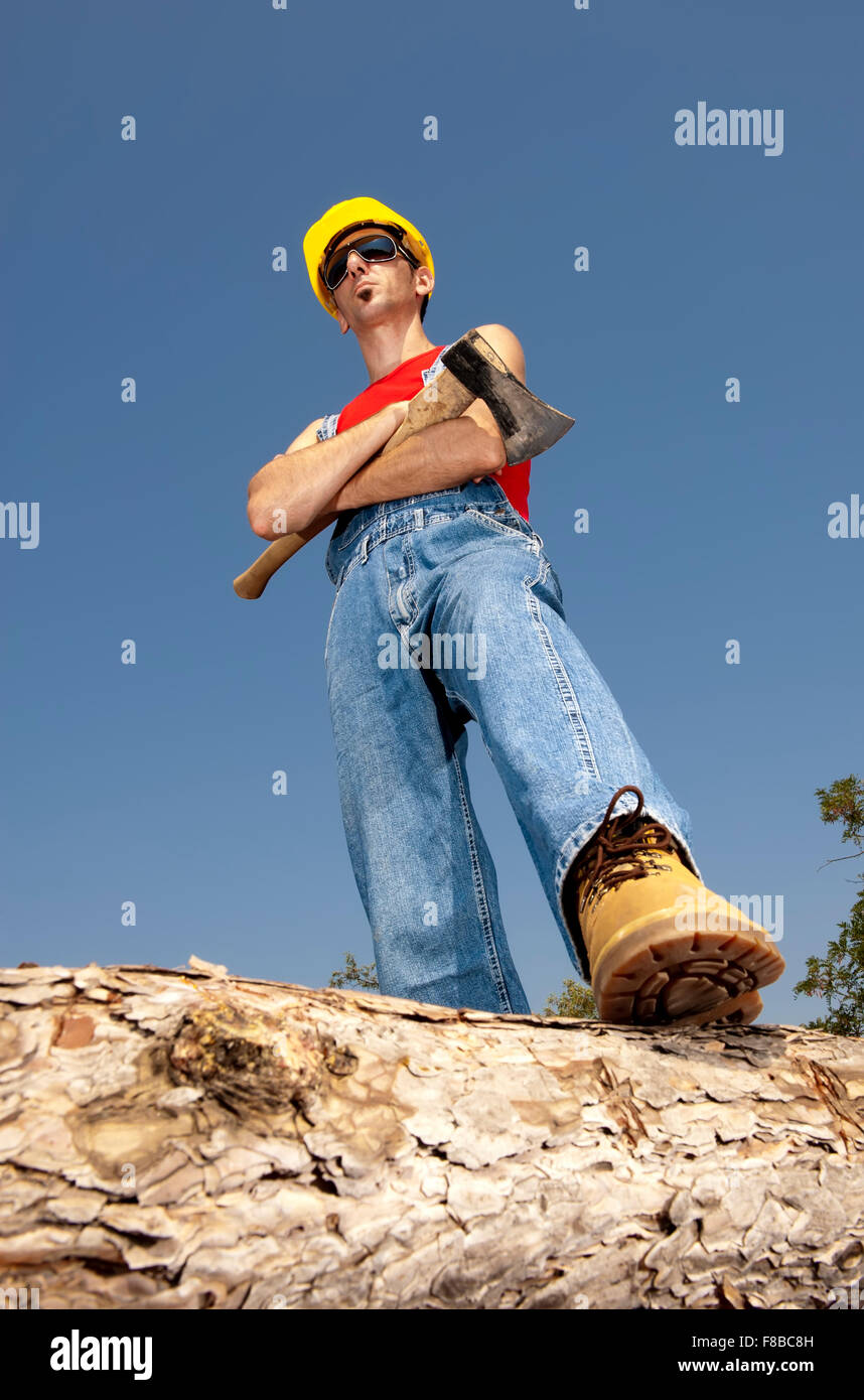 woodcutter cuts the tree in the forest Stock Photo - Alamy