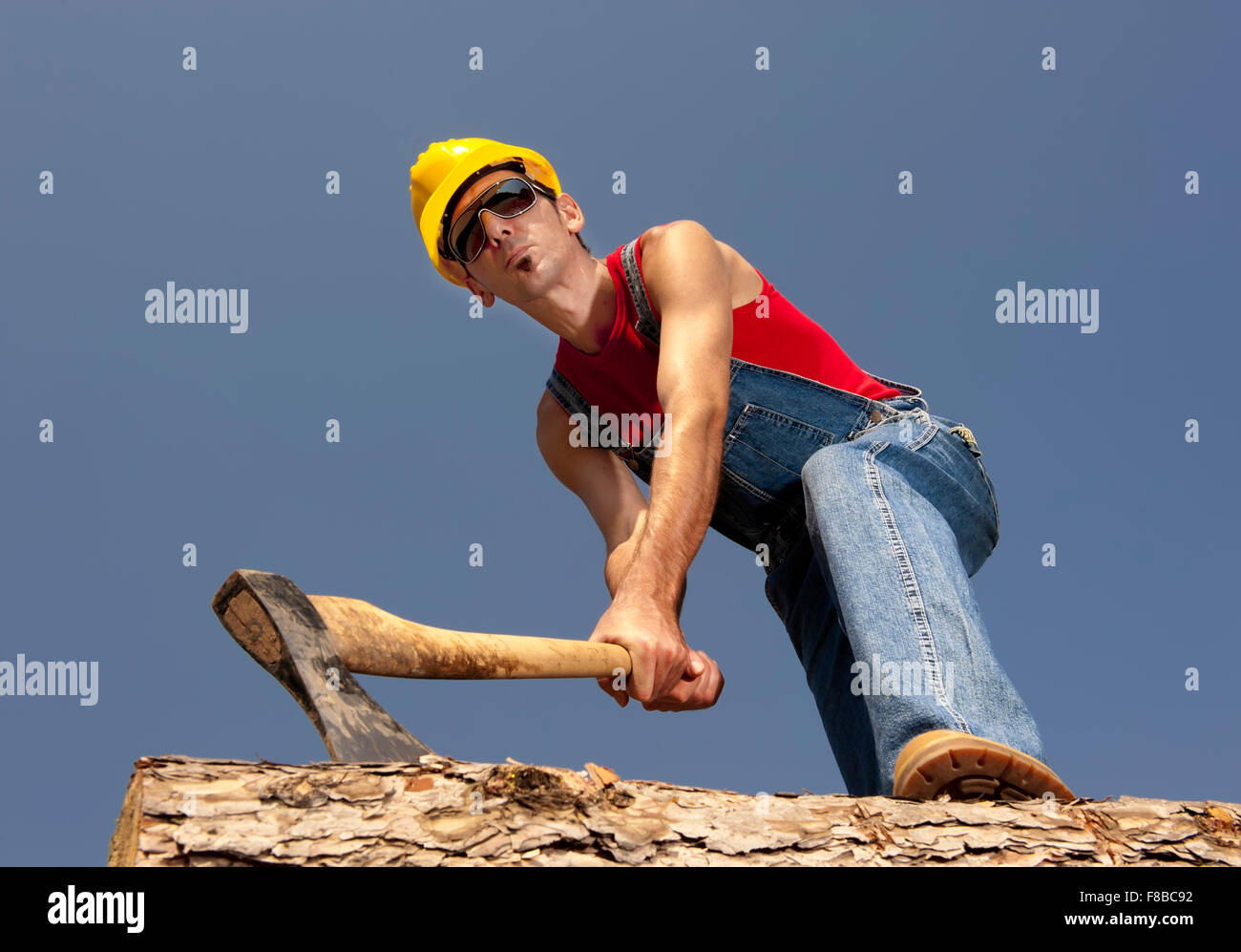 woodcutter cuts the tree in the forest Stock Photo - Alamy