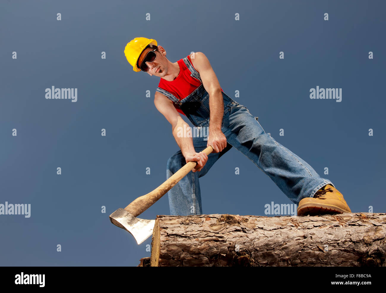 woodcutter cuts the tree in the forest Stock Photo - Alamy