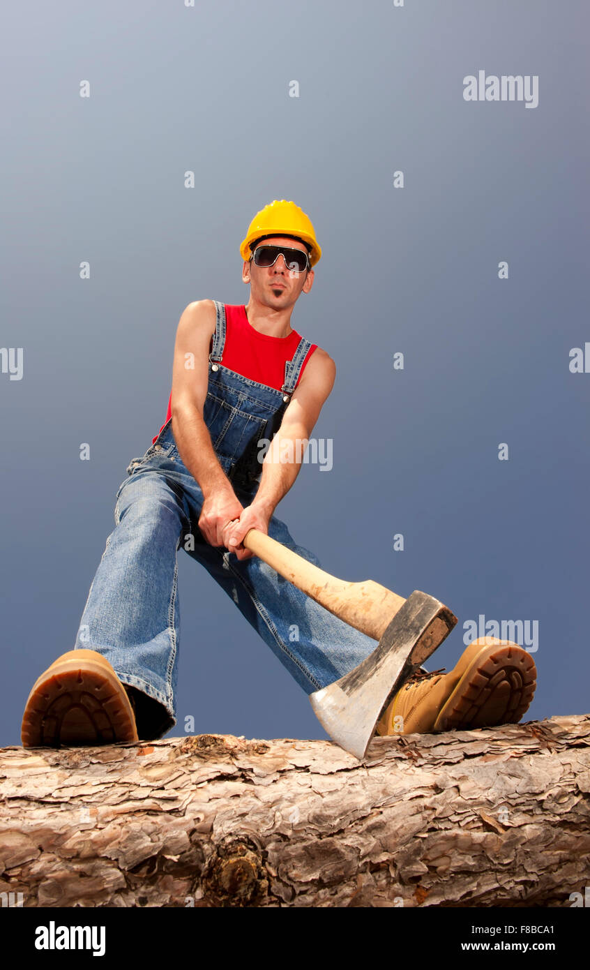 woodcutter cuts the tree in the forest Stock Photo - Alamy