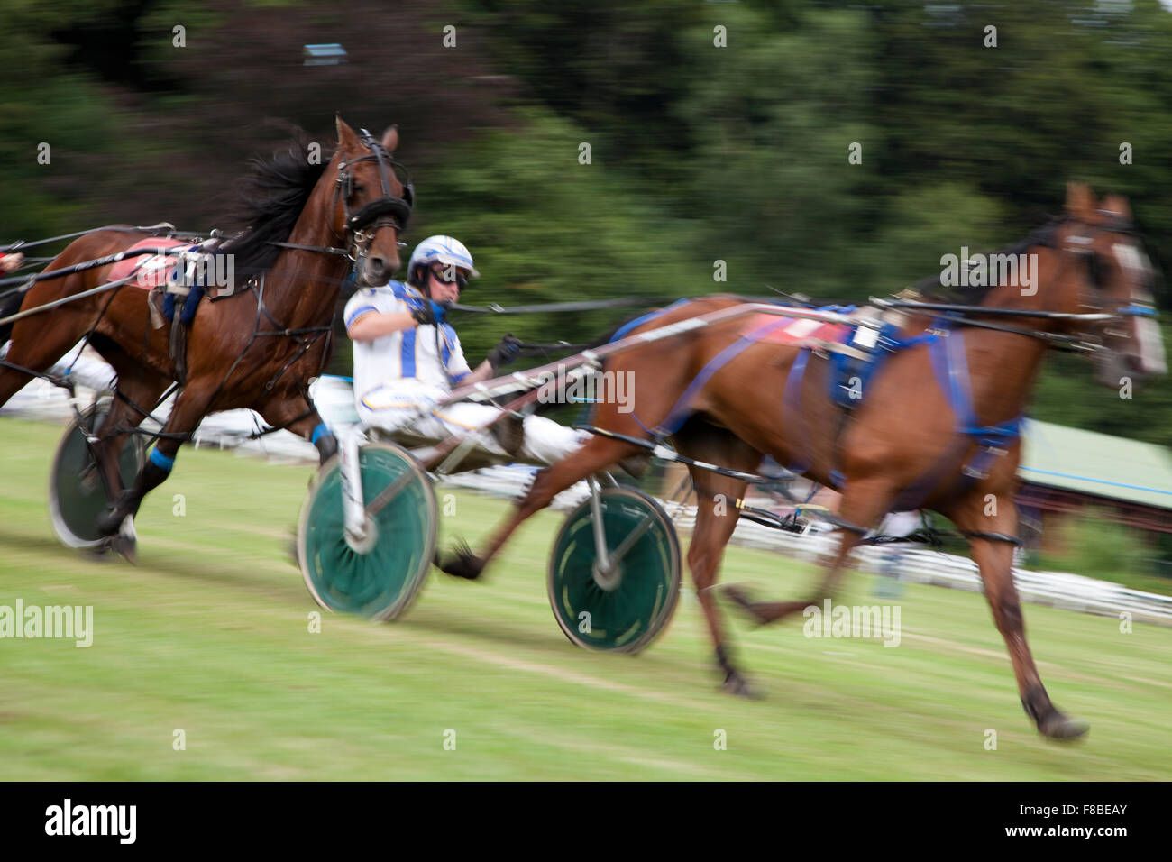 Harness Racing Stock Photos & Harness Racing Stock Images - Alamy