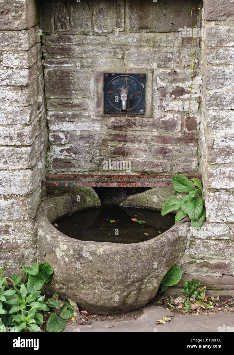 Pure spring water hi-res stock photography and images - Alamy