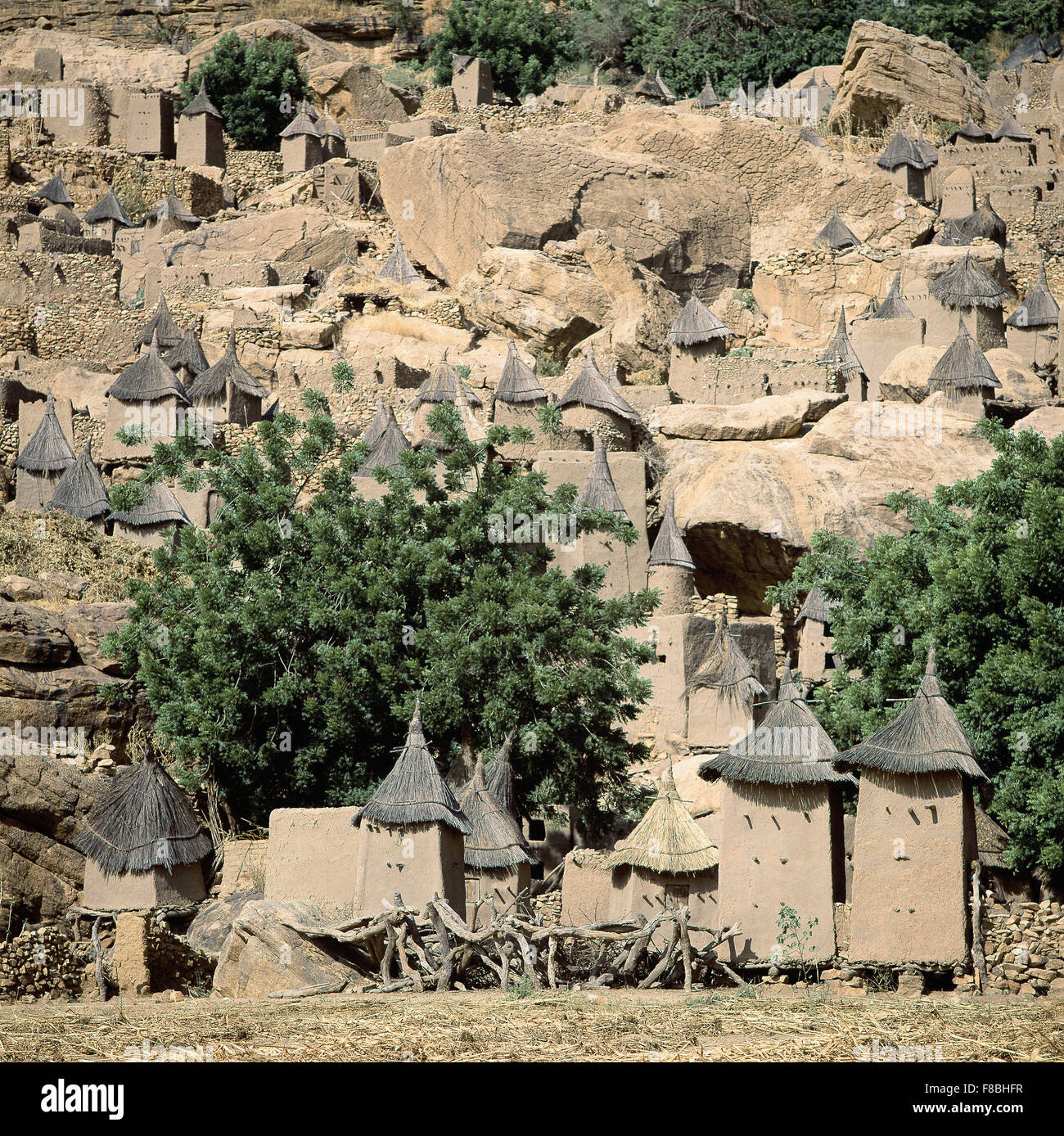 Yaye hi-res stock photography and images - Alamy