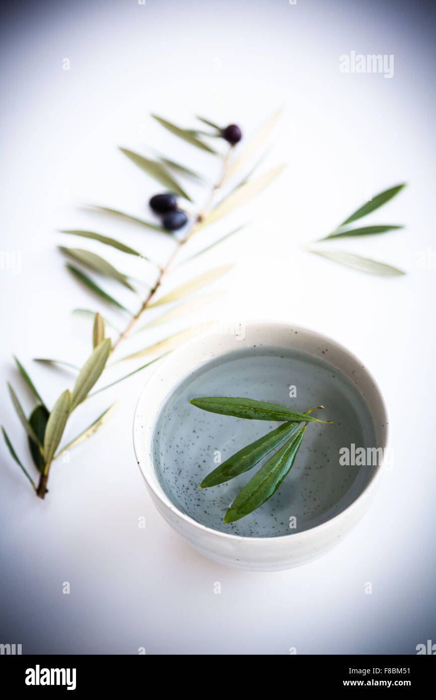 Olive leaves herbal tea Stock Photo - Alamy